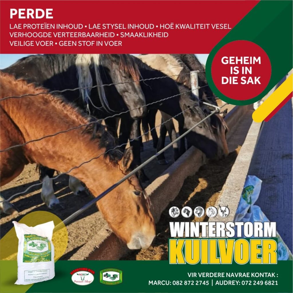Winterstorm Kuilvoer Tuis - Winterstorm Kuilvoer